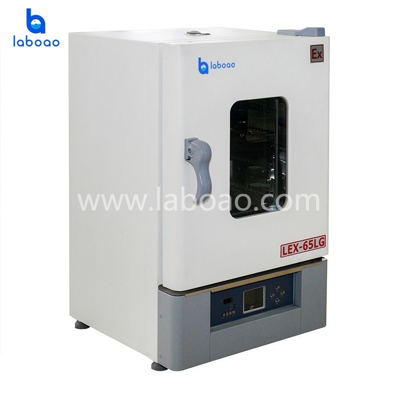 300℃ Explosion-proof Blast Drying Oven | China 300℃ Explosion-proof ...