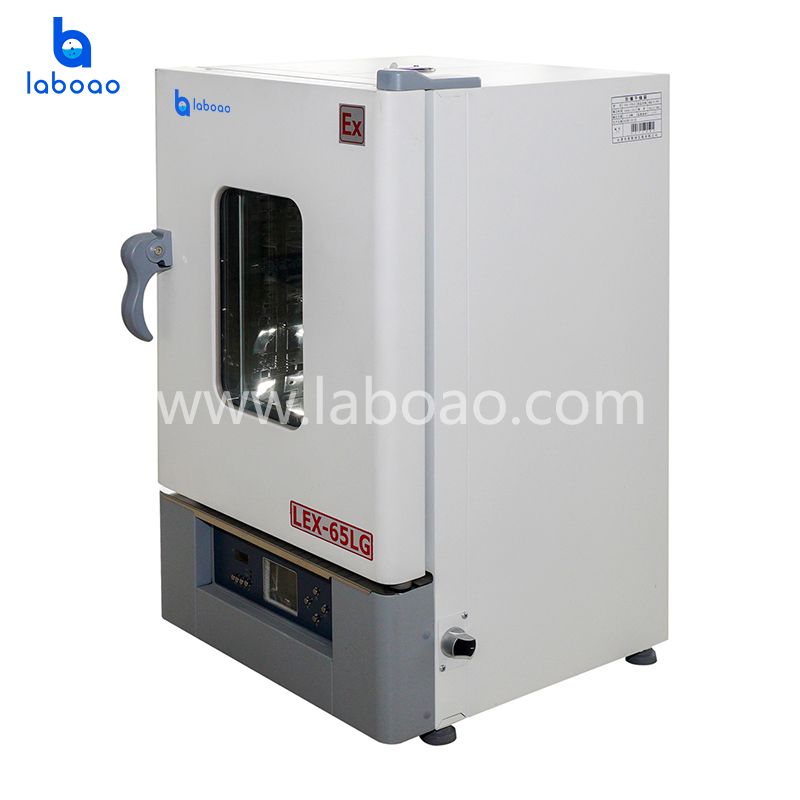 300℃ Explosion-proof Blast Drying Oven | China 300℃ Explosion-proof ...