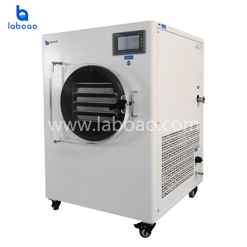 4-6kg Small Food Freeze Dryer | China 4-6kg Small Food Freeze Dryer Manufacturer and Supplier ...